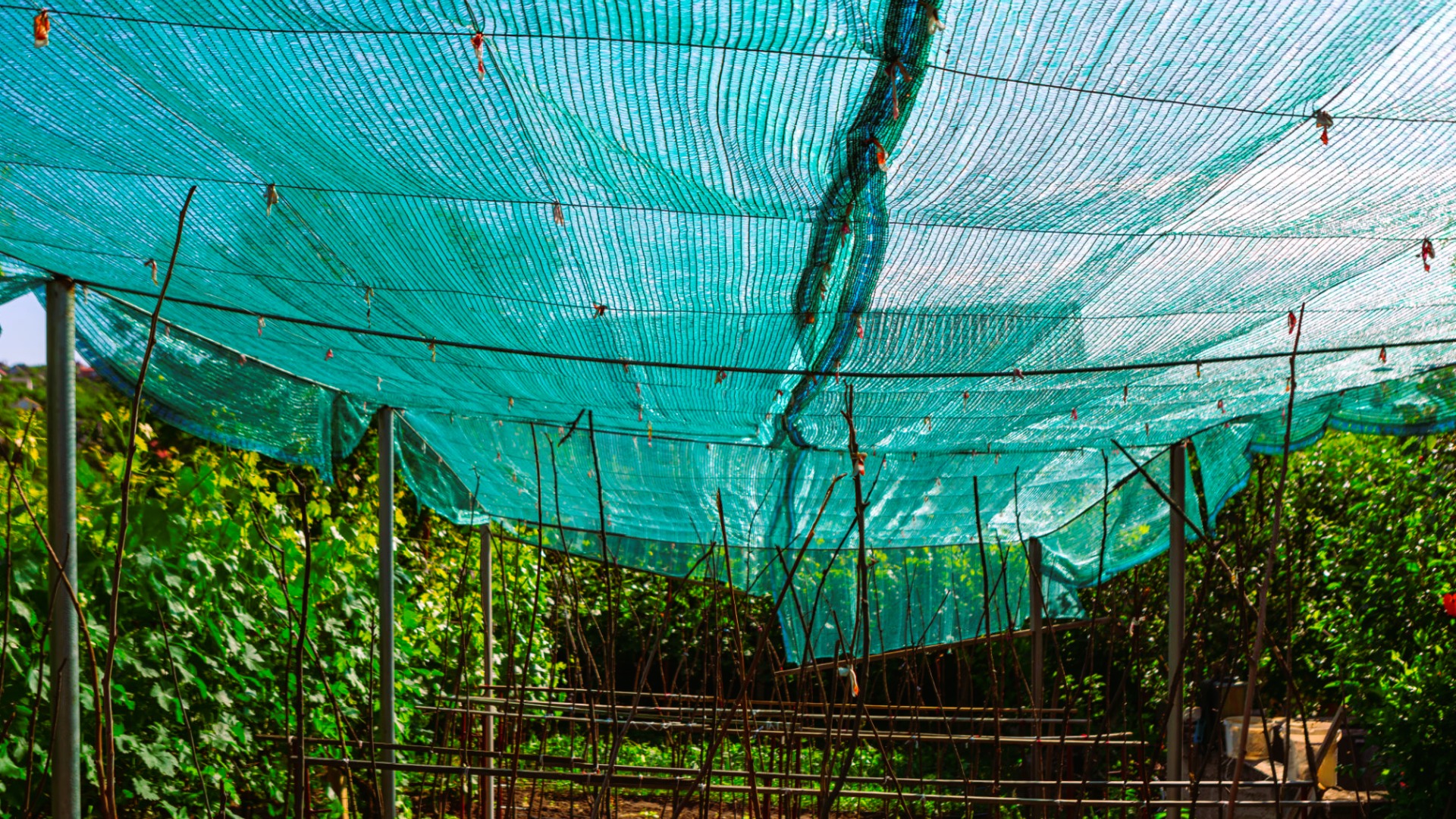 Evergreen Agro Polymer Industries Pvt. Ltd.